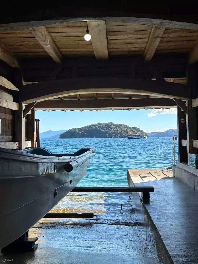 [Osaka or Kyoto Departure] Amanohashidate & Ine Boathouses & Ine Bay ...